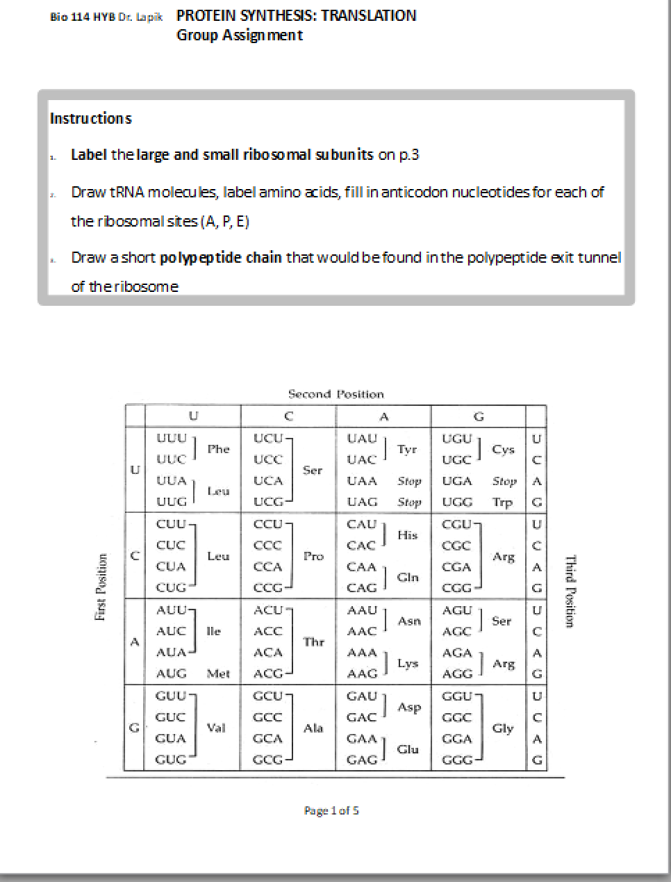 Solved Bio 114 HYB Dt. Lapik PROTEIN SYNTHESIS: TRANSLATION | Chegg.com