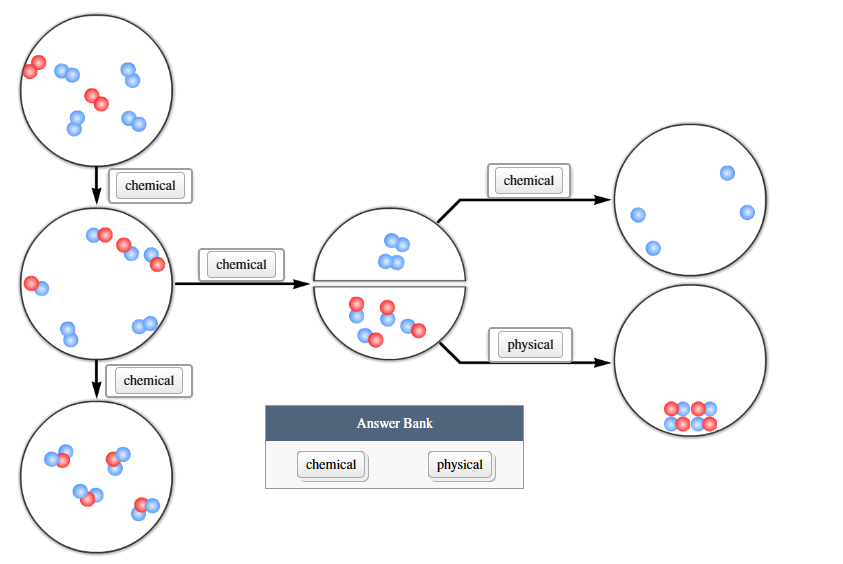 Solved identify each transition in this flowchart change or | Chegg.com