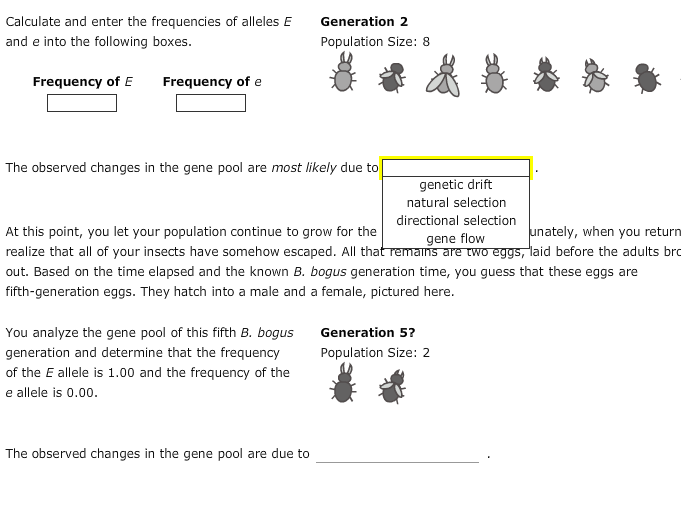 Solved 1. Population genetics in the lab Aa Aa Direct | Chegg.com