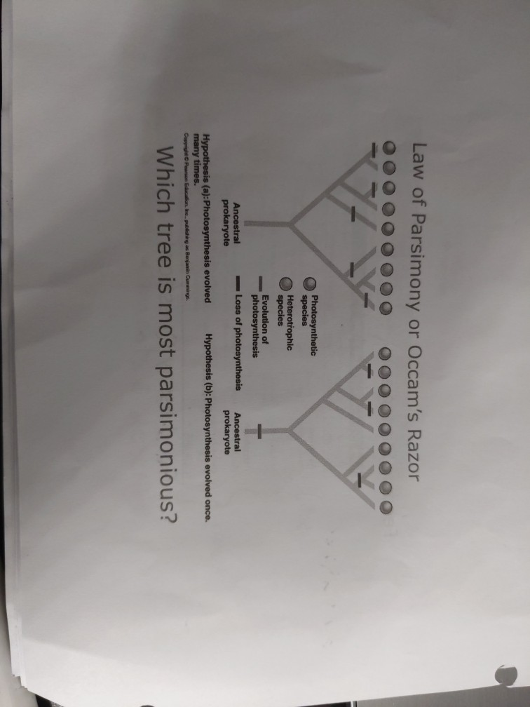 Solved Law of Parsimony or Occam's Razor OOOOOO000000000000 | Chegg.com