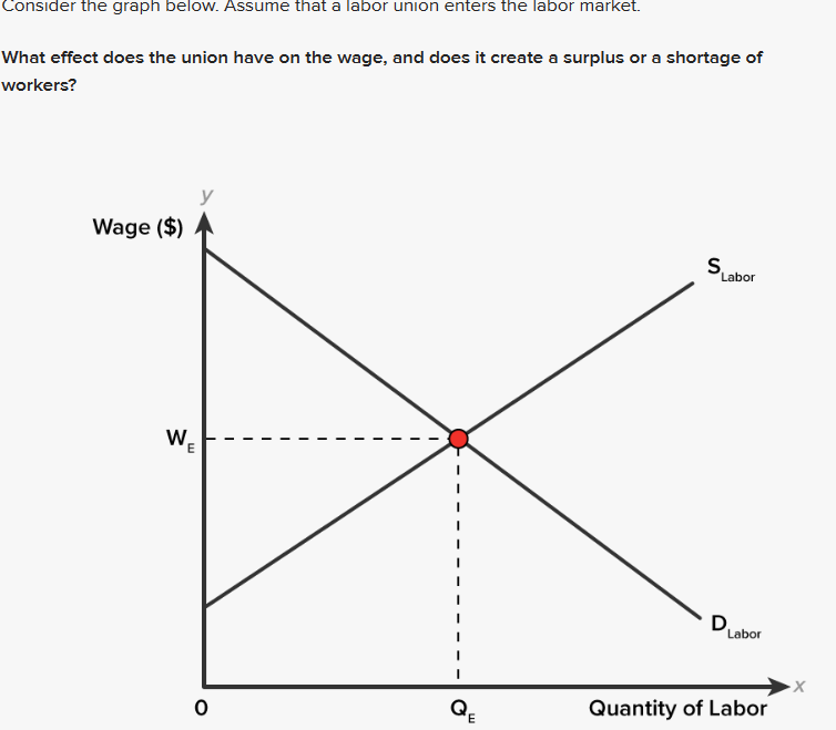 Solved Consider the graph below. Assume that a labor union | Chegg.com