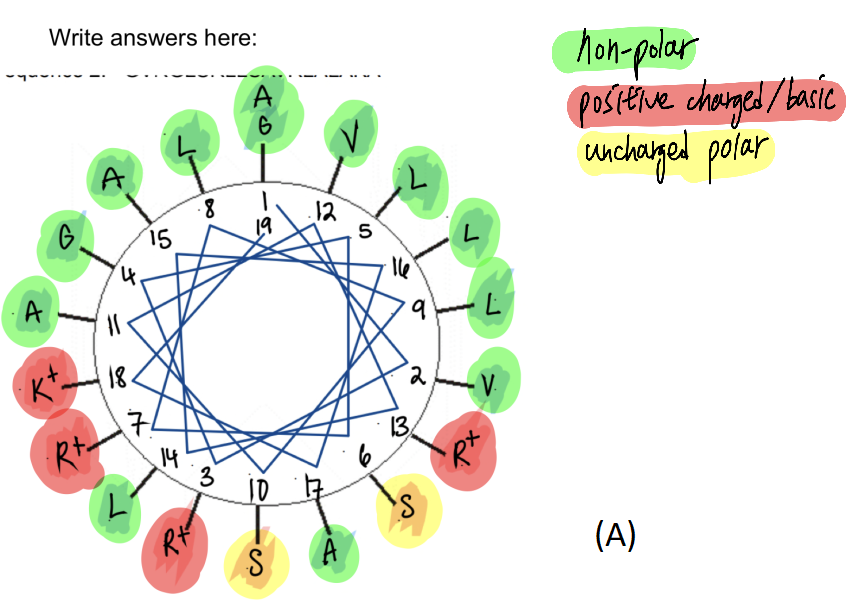 (part A)Given the helical wheel diagram below, | Chegg.com
