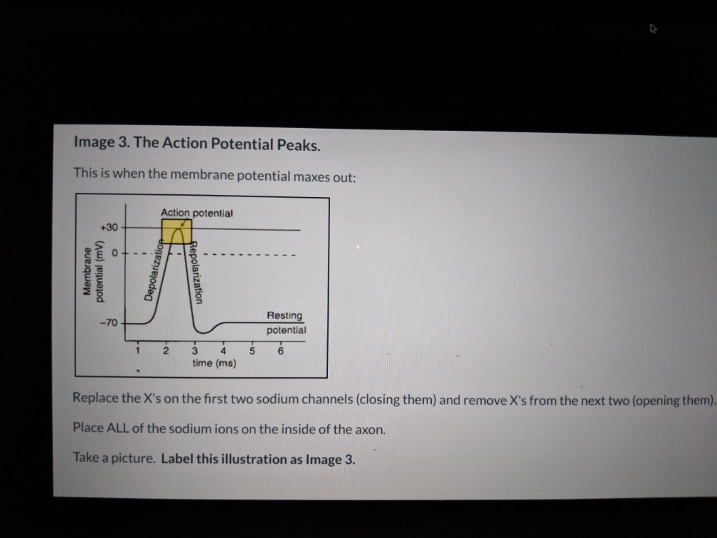 Solved Draw the axon and anions 1.Draw the axon and | Chegg.com