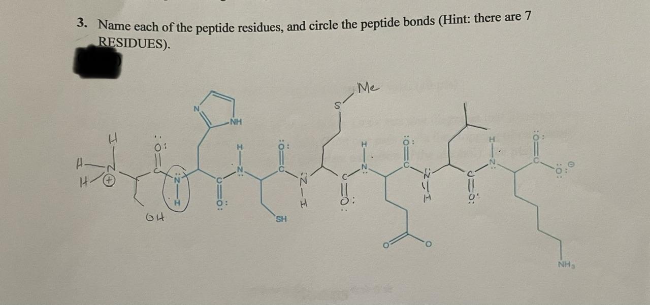 Solved 3. Name each of the peptide residues, and circle the | Chegg.com