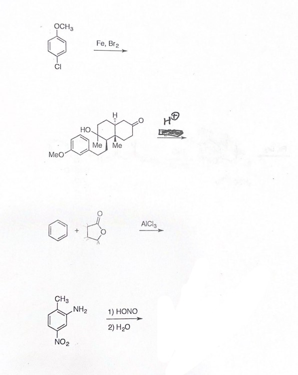 Solved Fe,Br2 AlCl3 | Chegg.com