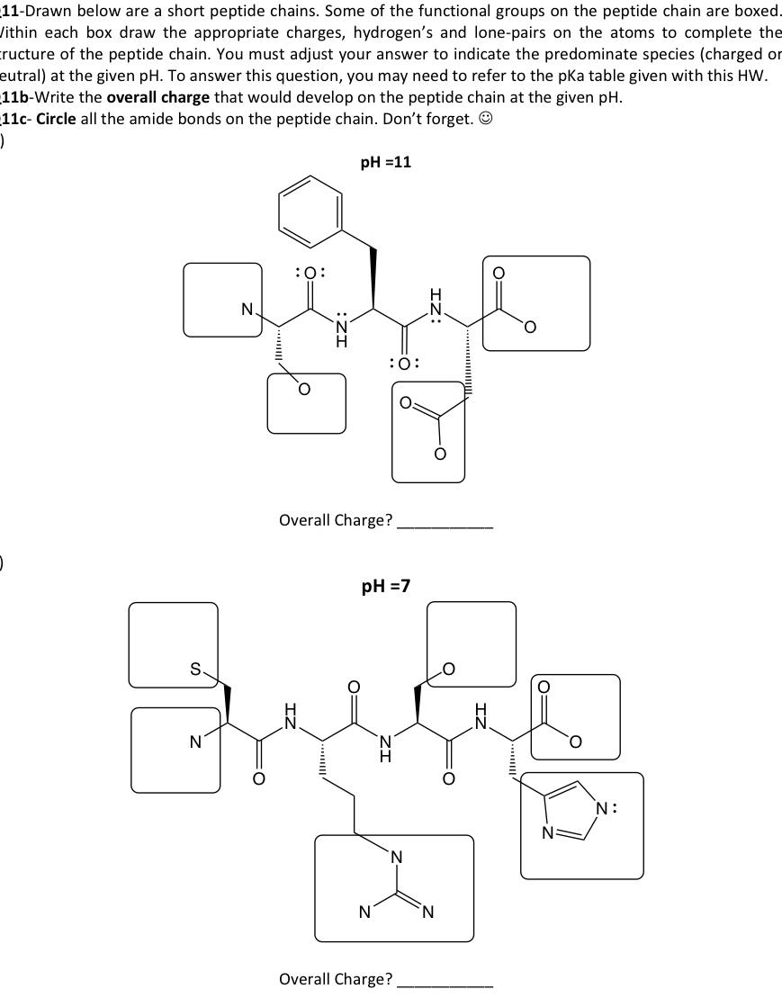Solved 11-Drawn below are a short peptide chains. Some of | Chegg.com