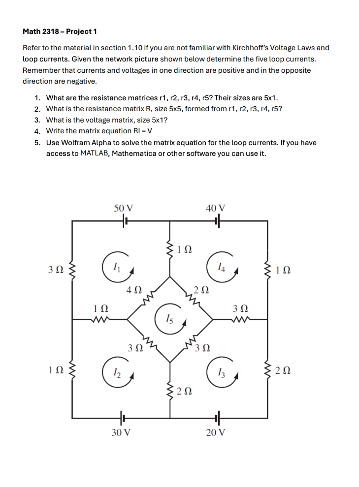 Math 2318 - ﻿Project 1Refer to the material in | Chegg.com