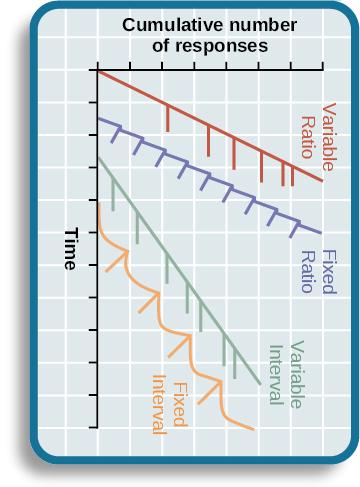 Solved Consider the four schedules in the graph above. | Chegg.com