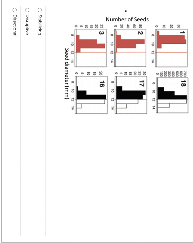 Solved Stabilizing Disruptive Directional | Chegg.com