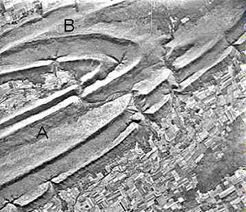 Solved What is the exact name of this structure (black & | Chegg.com