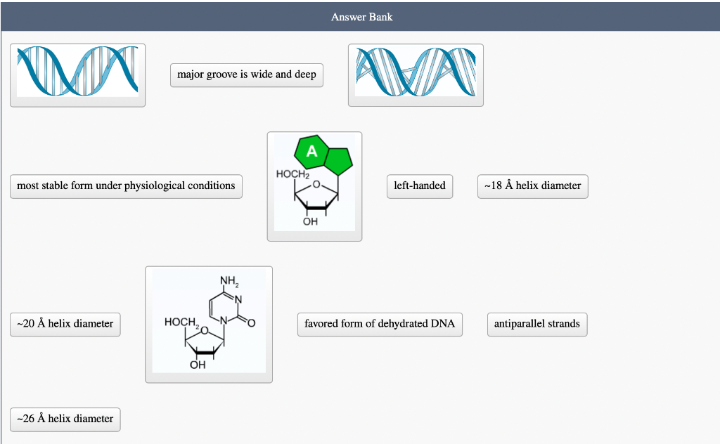 As a result of rotation about six of its bonds, DNA | Chegg.com