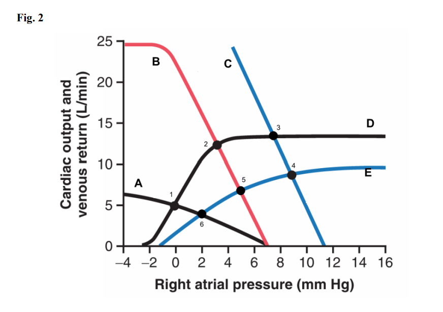 Solved 2 Figure 2 Displays Potential Scenarios For How The