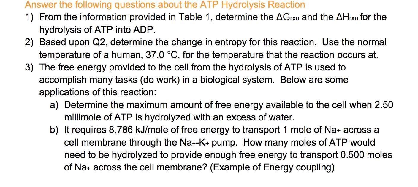 Part 2 - Gibbs Free Energy and ATP Hydrolysis | Chegg.com