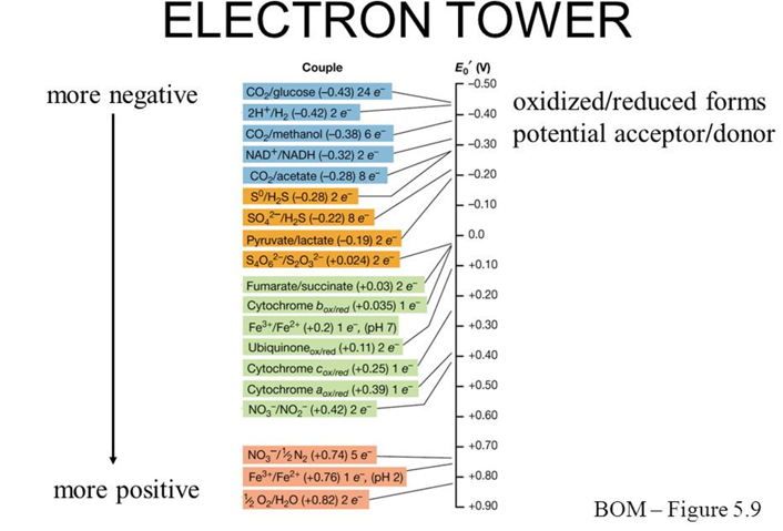 Solved Anaerobic respiration in bacteria involves a redox | Chegg.com