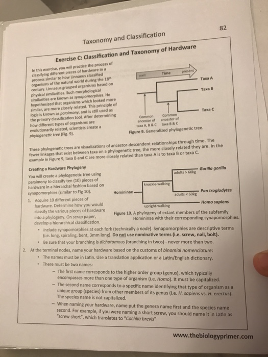 Solved 82 Taxonomy and Classification Exercise C: | Chegg.com