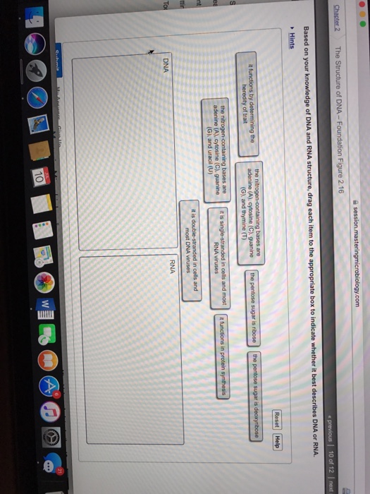 Solved Based on your knowledge of DNA and RNA structure, | Chegg.com