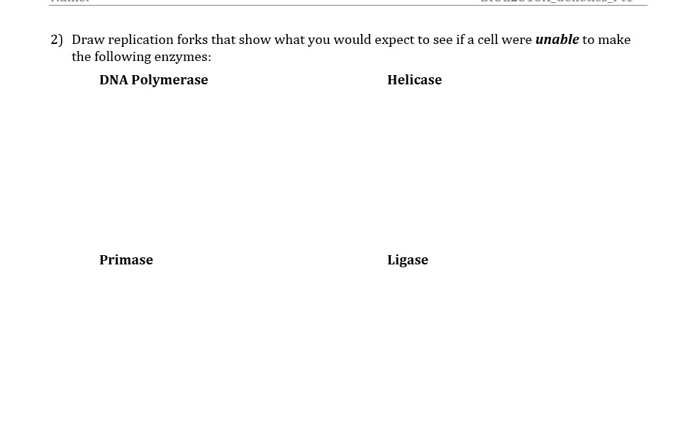 Solved 2) Draw replication forks that show what you would | Chegg.com