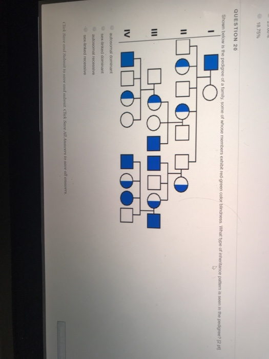 Red Green Color Blindness Inheritance Pattern - Infoupdate Wallpaper Images