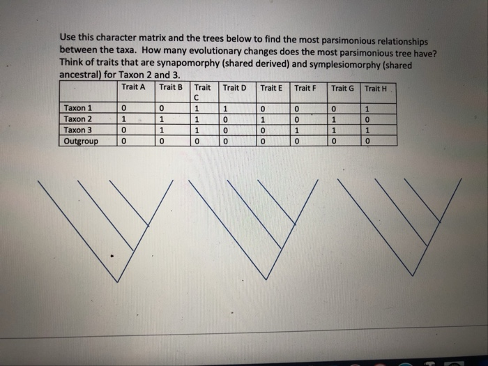 Use this character matrix and the trees below to find | Chegg.com