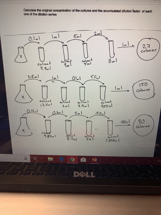 Solved Calculate the original concentration of the cultures | Chegg.com