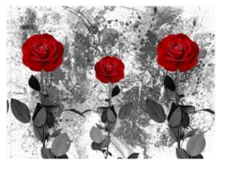 Solved The purpose of this program is to understand the | Chegg.com