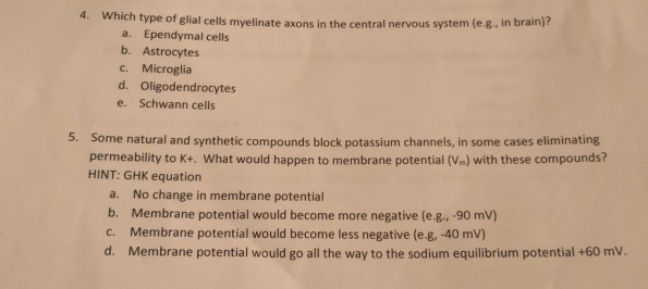 Solved 4. which type of glial cells myelinate axons in the | Chegg.com