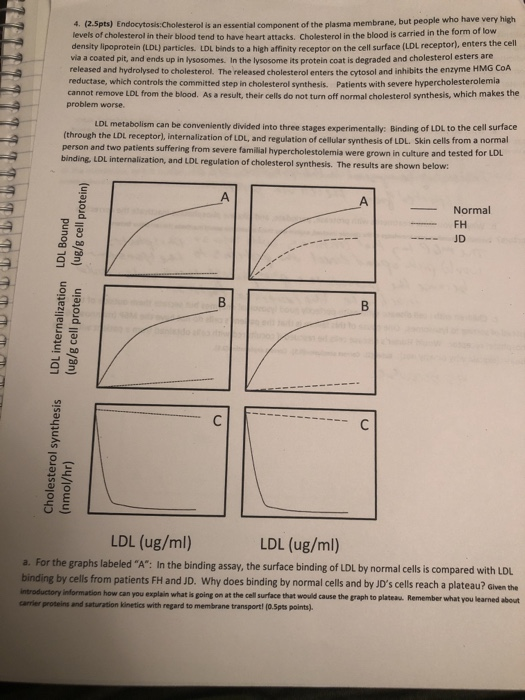 LDL metabolism can be conveinently divided into three | Chegg.com