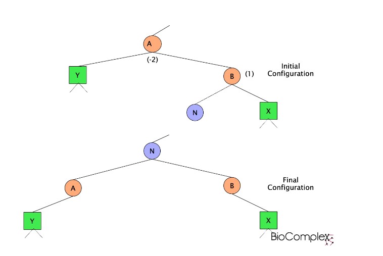 Solved Please write in java. Implement the rotations for a | Chegg.com