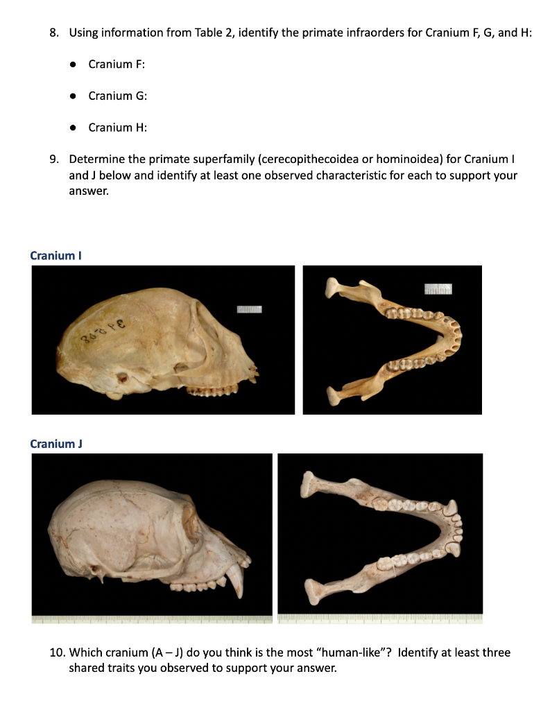 Solved Introduction In this Lab Activity you will apply what | Chegg.com