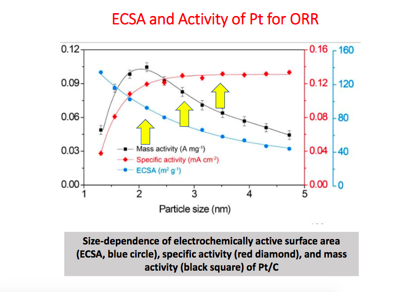 Could you please explain in detail what each of these | Chegg.com