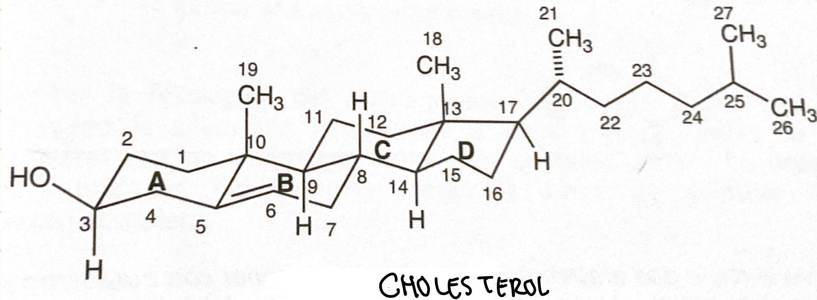 Solved Identify the alpha and beta face of the cholesterol | Chegg.com