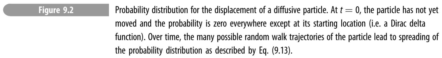 7. Consider a "biased" version of the 1D random walk | Chegg.com