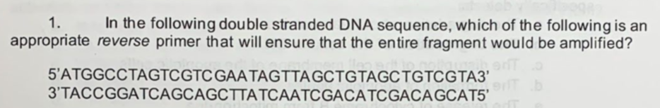 Solved 1. In the following double stranded DNA sequence, | Chegg.com