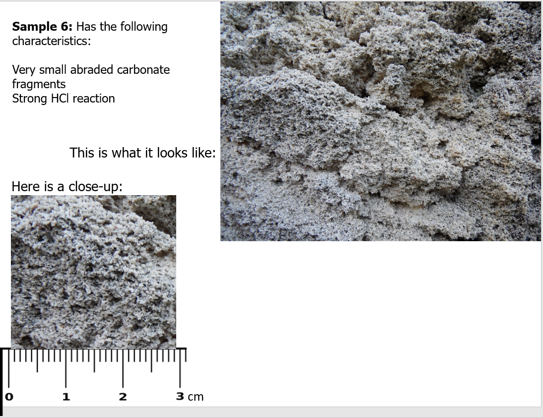 Solved Sample 4: Has the following characteristics: lime mud | Chegg.com