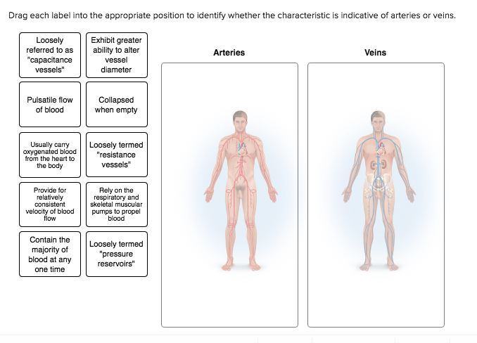 Solved Drag each label into the appropriate position to | Chegg.com