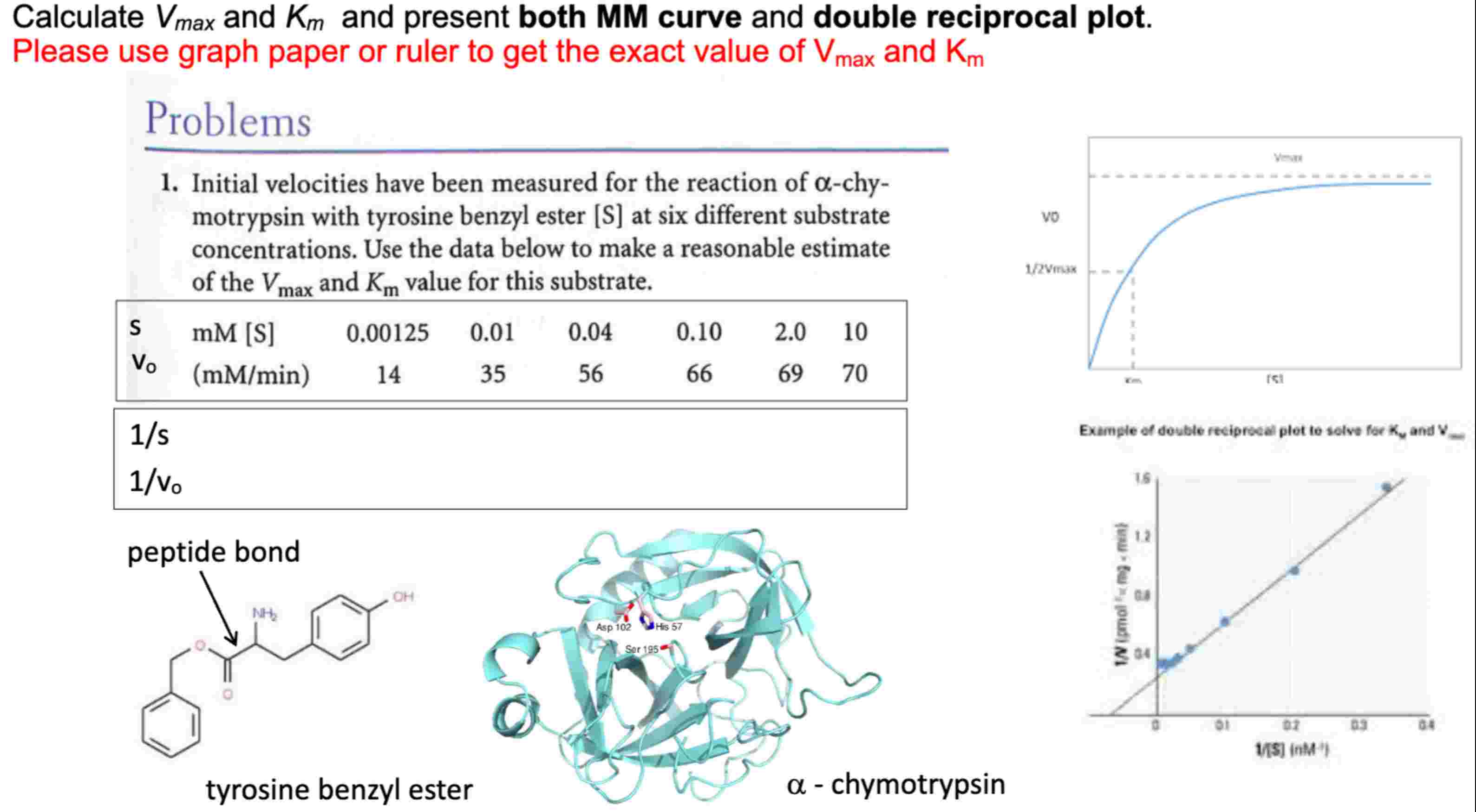 Can you show how to calculate the Vmax and Km values | Chegg.com