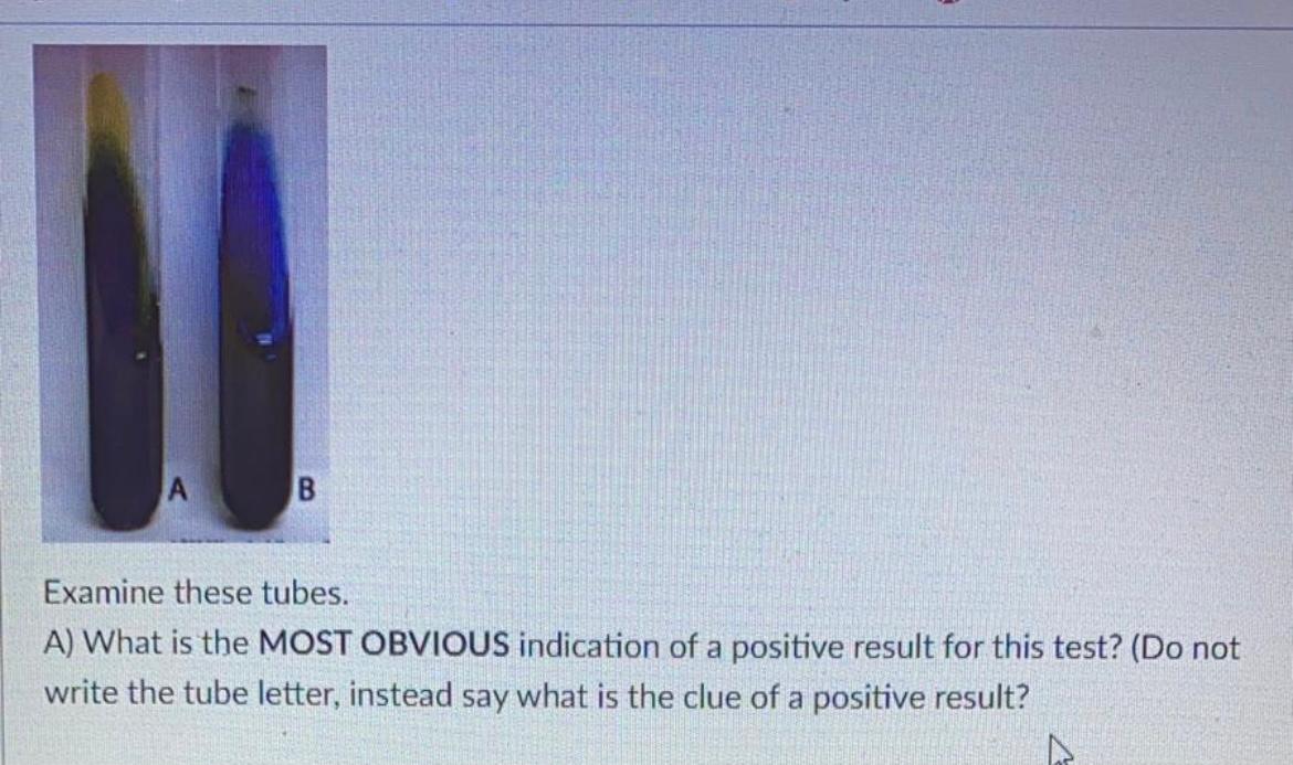 Solved B Examine these tubes. A) What is the MOST OBVIOUS | Chegg.com