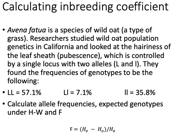 Inbreeding Coefficient Formula Genetic Diversity – Managing