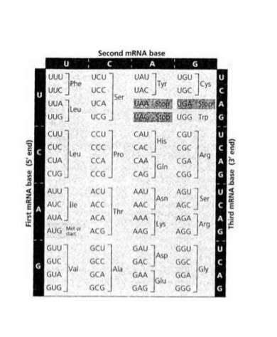Solved using the chart below which one of the statements | Chegg.com