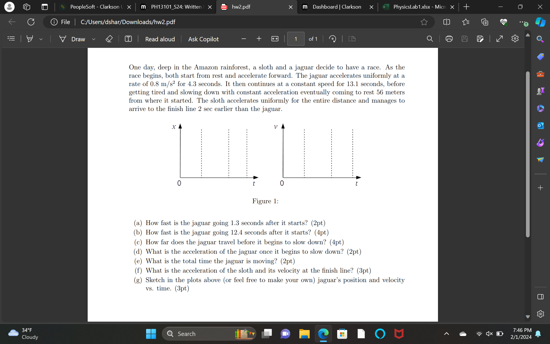 Solved One day, deep in the Amazon rainforest, a sloth and a | Chegg.com