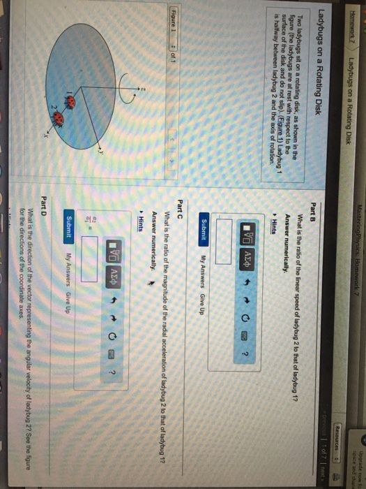 Solved on a Rotating Disk Ladybugs on a Rotating Disk Part B | Chegg.com