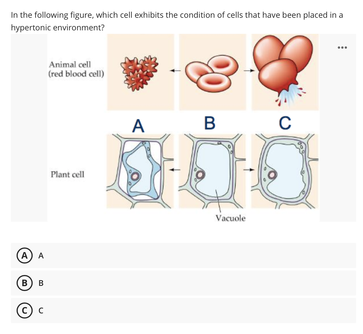 Solved In the following figure, which cell exhibits the | Chegg.com