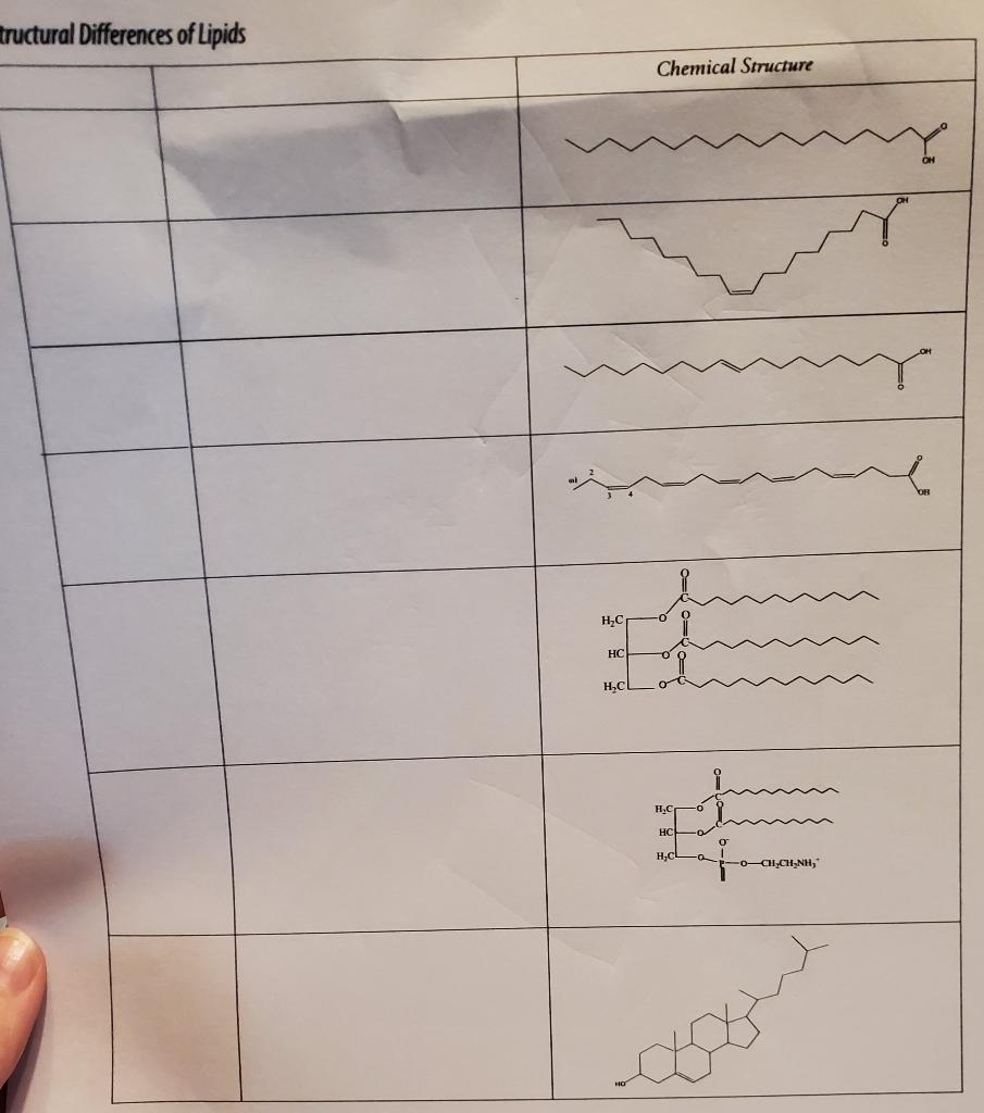 Solved The next page, you will see the structure of various | Chegg.com