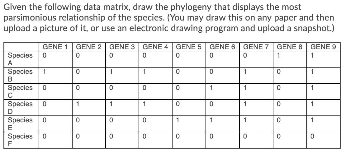 Solved Given the following data matrix, draw the phylogeny | Chegg.com
