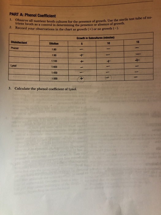 Solved PART A: Phenol Coefficient 2. Record your at a | Chegg.com