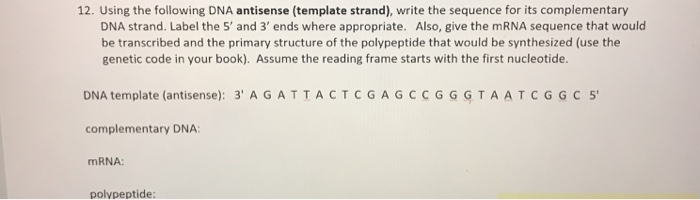 Solved 12. Using the following DNA antisense (template | Chegg.com