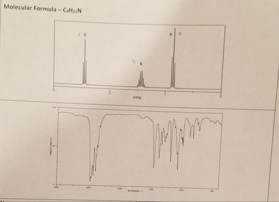 Solved Organic Chemistry Based On The Molecule