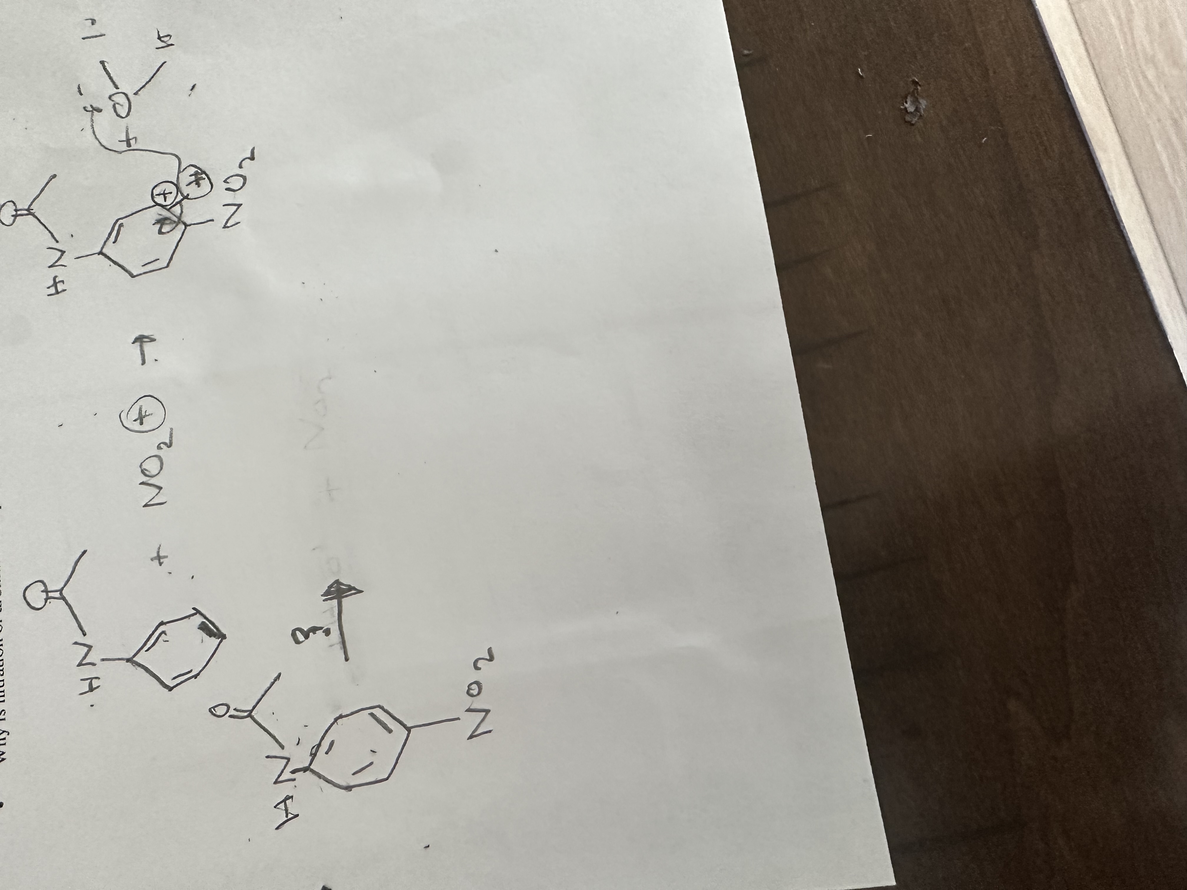 Solved Draw the reaction mechanism for the nitration of | Chegg.com