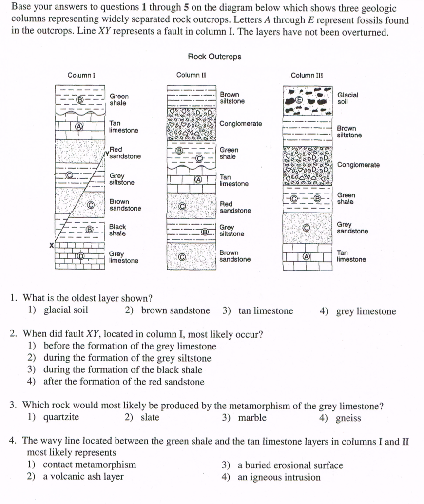Solved 5. Fossil A, in the tan limestone layer, is a | Chegg.com