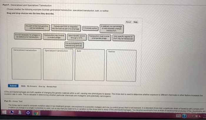 Solved Generalized and Specialized Transduction Choose | Chegg.com